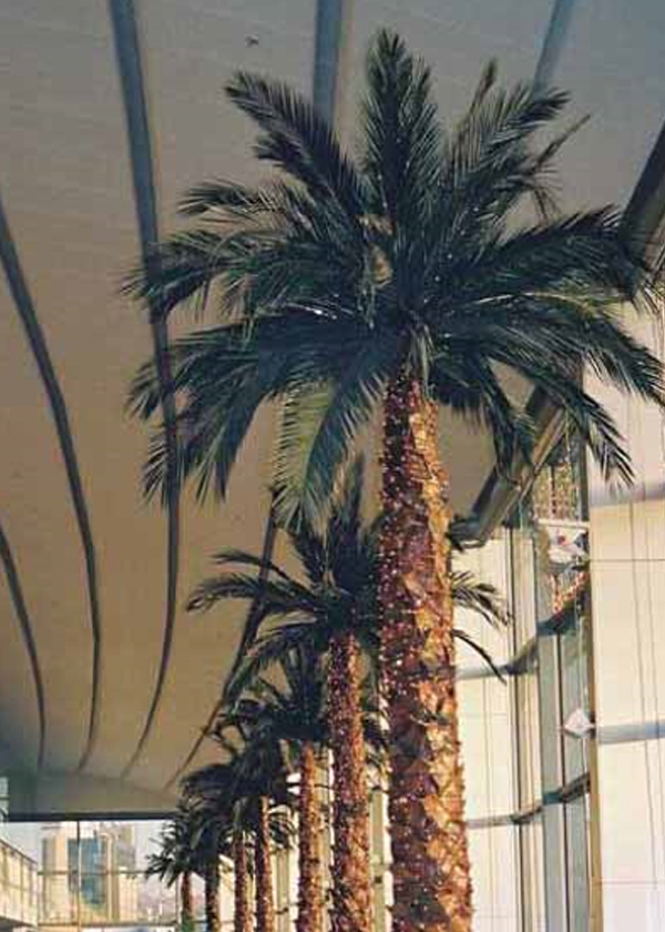 imgggg - Siji Greenhouse