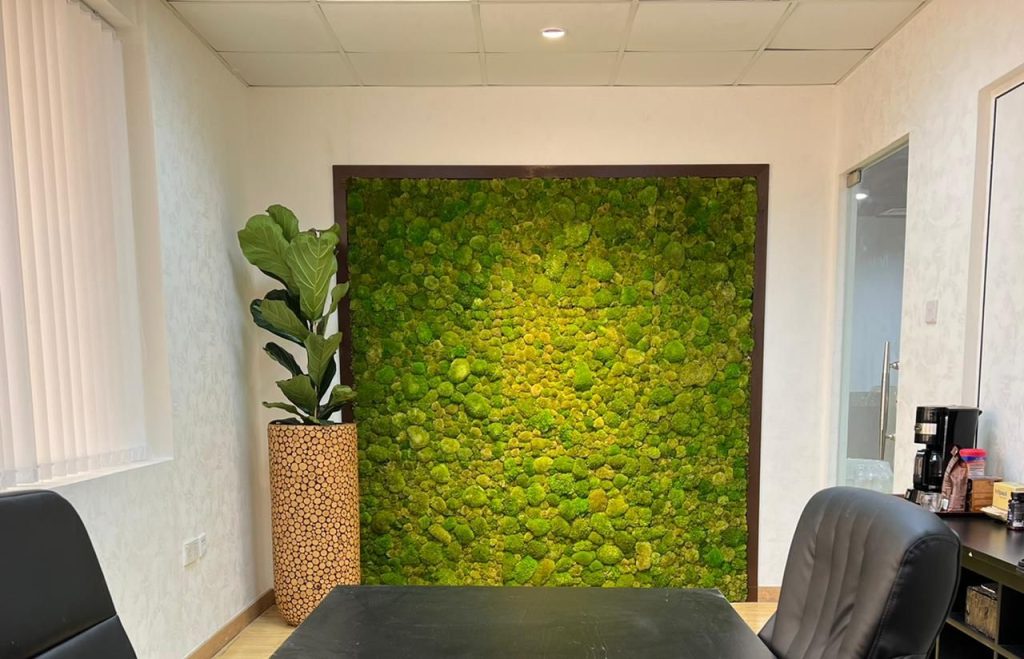 How Moss Walls Influence Modern Architecture and Interior Design