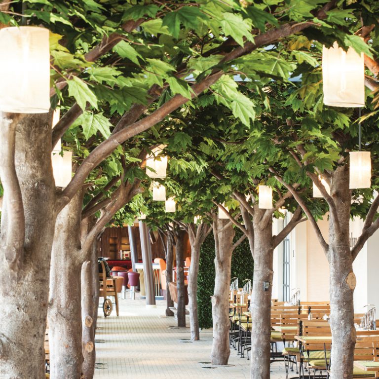 Real Feel Specimen Trees - Siji Greenhouse