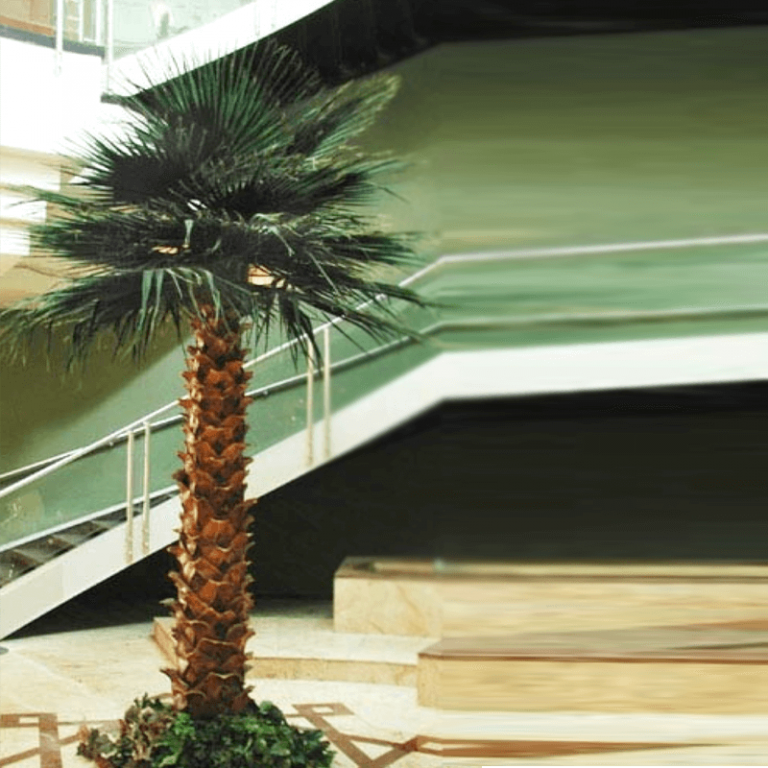 Preserved Plants in Dubai | Preserved Indoor Plants for Sale