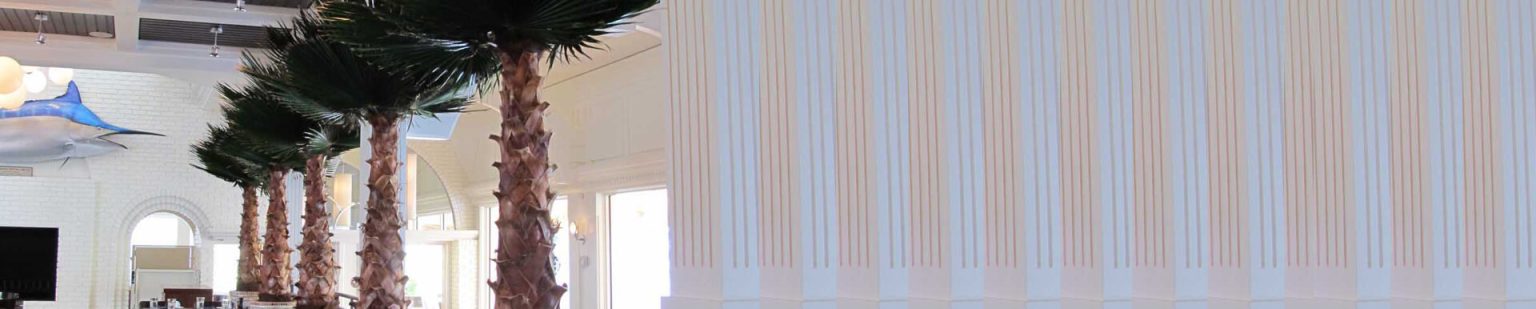 Preserved-Washingtonia-Palm-1-2 - Siji Greenhouse